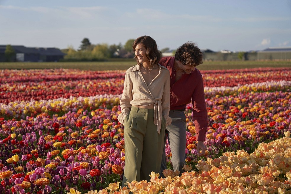 Hotel Oferece Piquenique De Luxo No Meio De Um Campo De Tulipas Direito A Mordomo Mundo