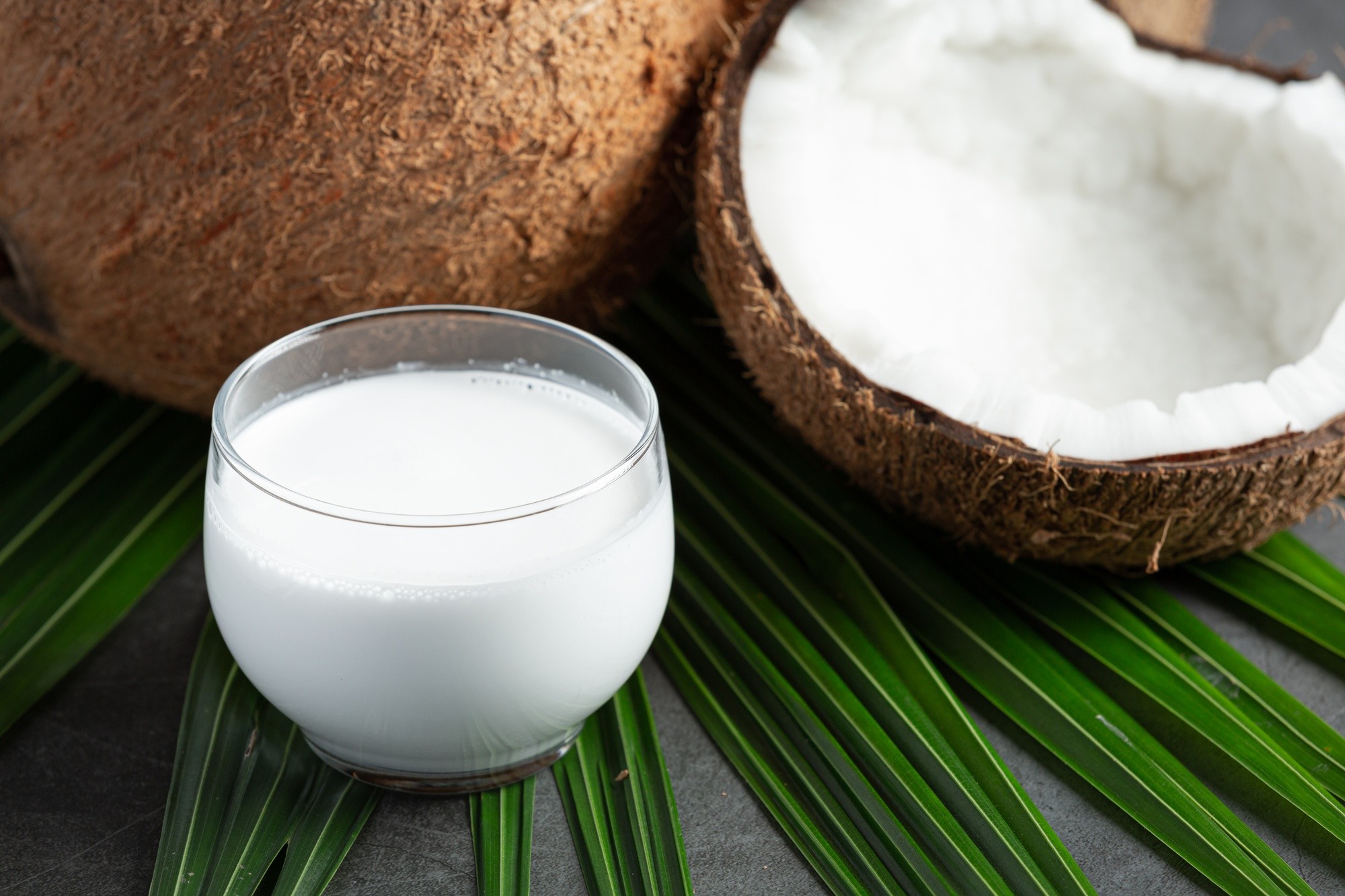 Leite de coco: conheça os benefícios e 5 receitas com o ingrediente