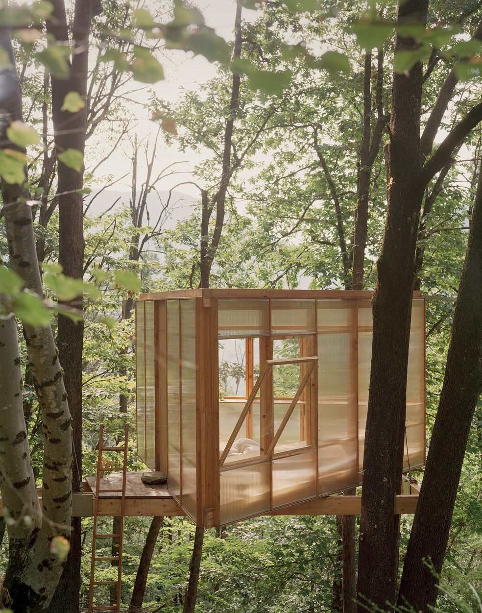 Casa na árvore minimalista desafia a gravidade ao 'flutuar' em floresta ...