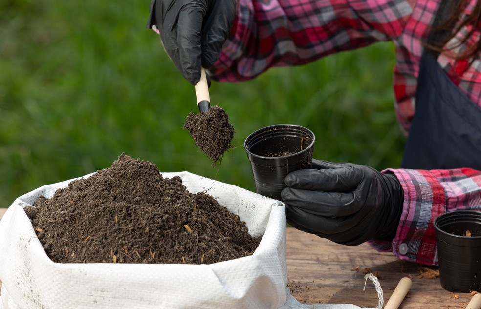 Bokashi: o que é e como usar o adubo sustentável no jardim de casa