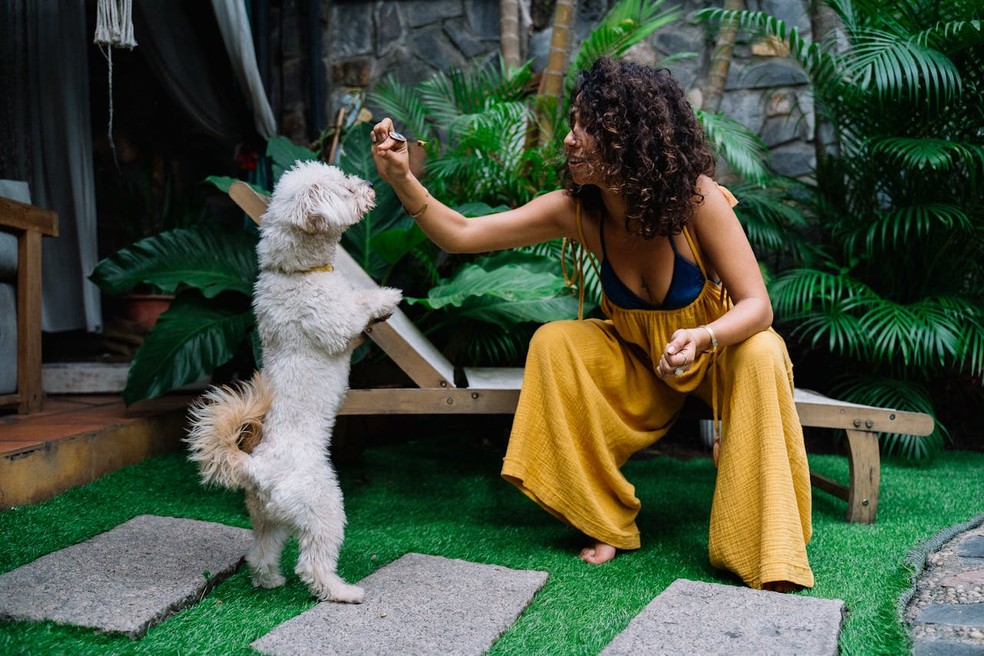 Cuidados com os pets na Páscoa: ovos, petiscos e brincadeiras seguras