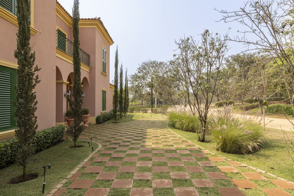 Cipreste italiano: conheça o icônico pinheiro que atinge até 30 metros ...