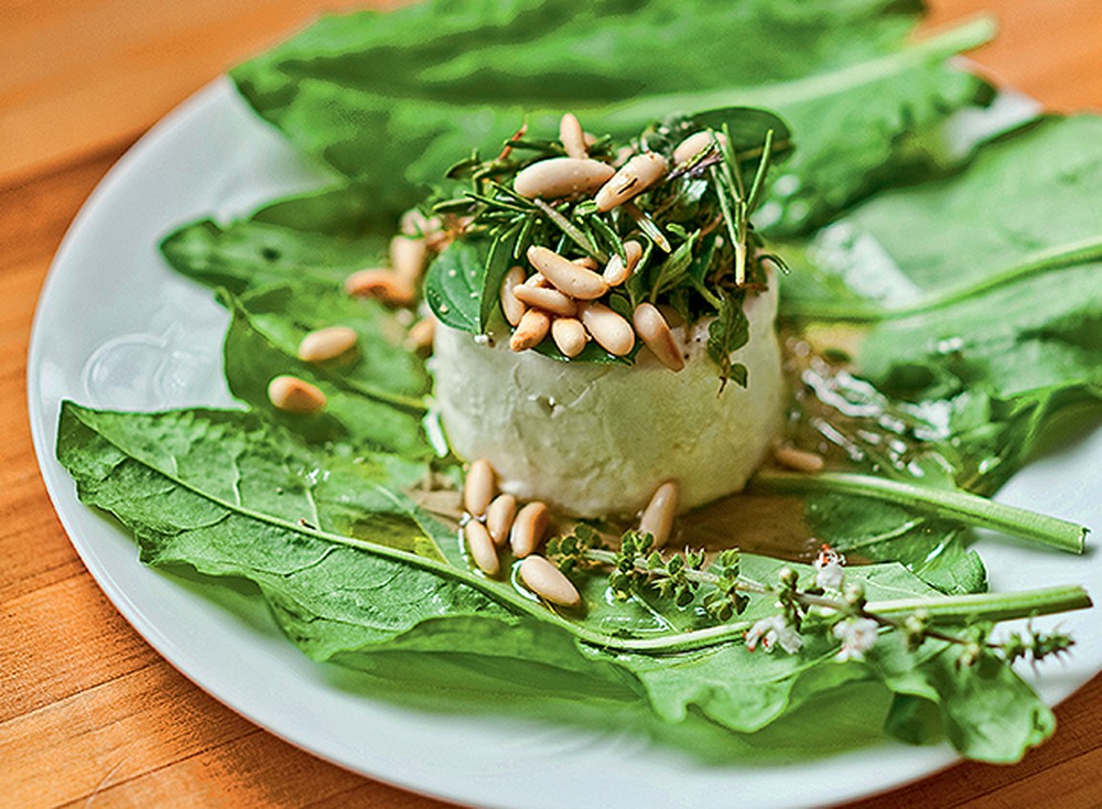 Azedinha: como cultivar na sua horta, benefícios e receitas