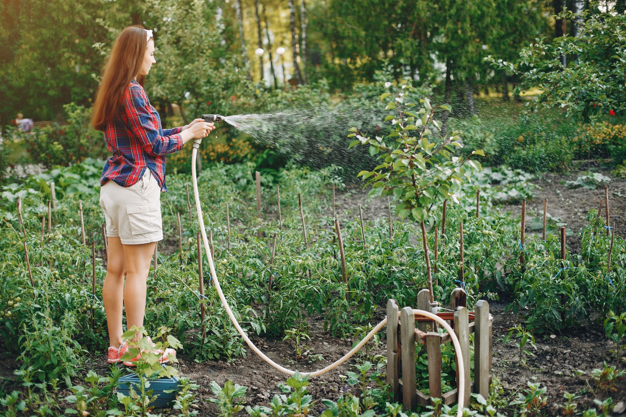 Mangueira de jardim Tramontina: 5 opções para regar o jardim