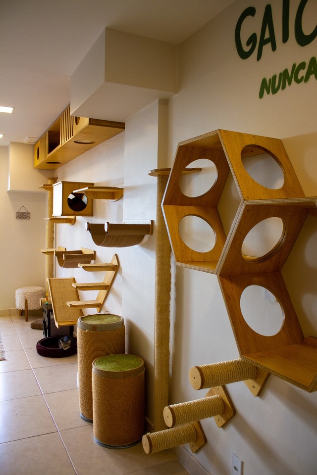 Conheça 7 cafeterias brasileiras com gatos para adotar e relaxar