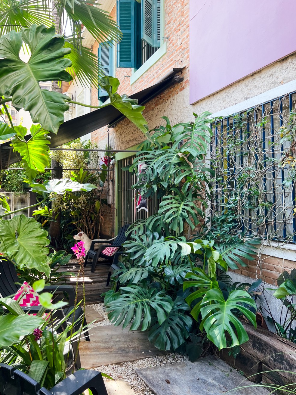 Dicas e inspirações para construir e cultivar um jardim em casa