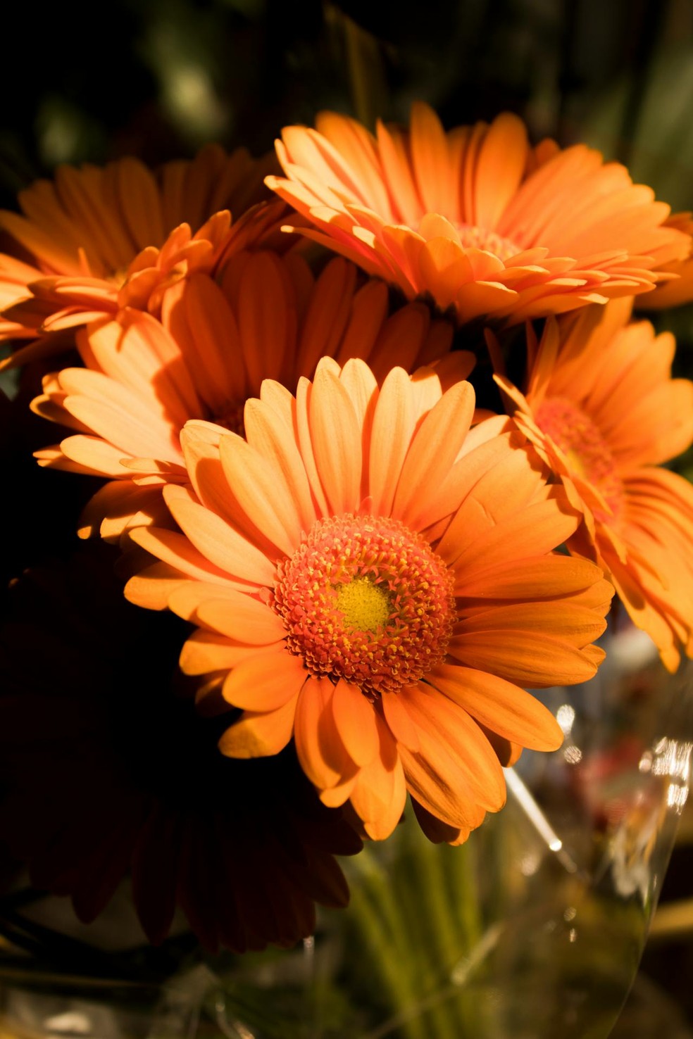 Flores Cor De Pessego Conjunto Do Rosa Flores Cor Gráficos, Pêssego