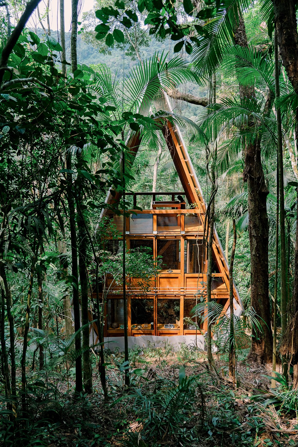 O arquiteto Marko Brajovic fala sobre carreira, natureza e cenografia