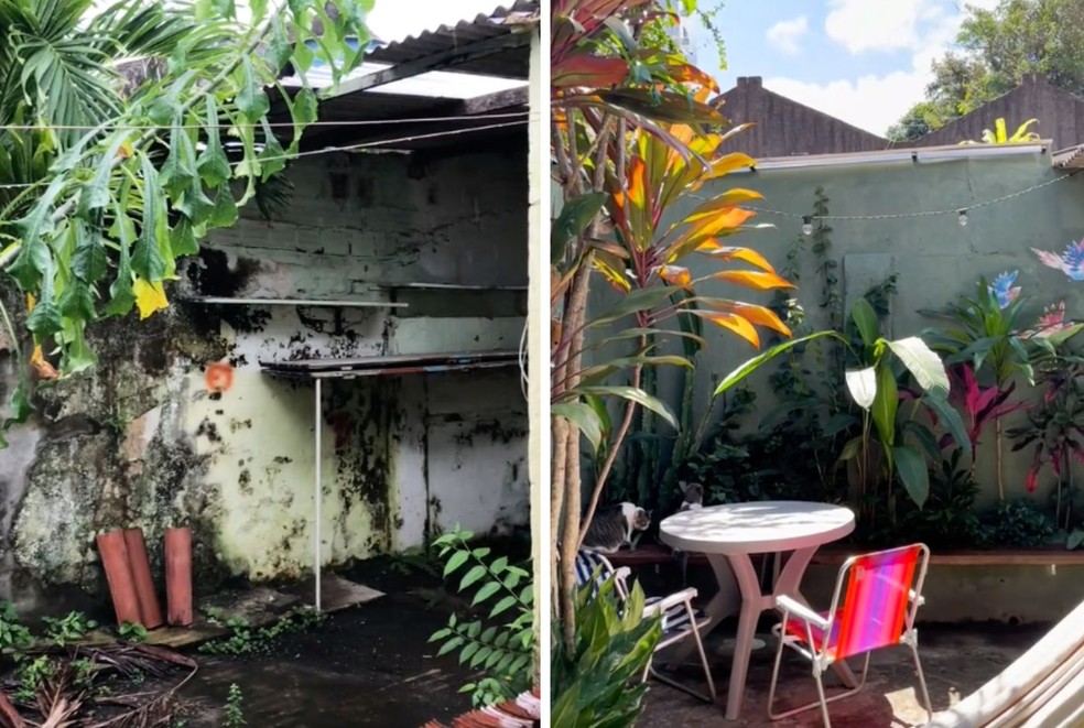 Mulher aluga casa histórica em Recife, caindo aos pedaços, e faz ...