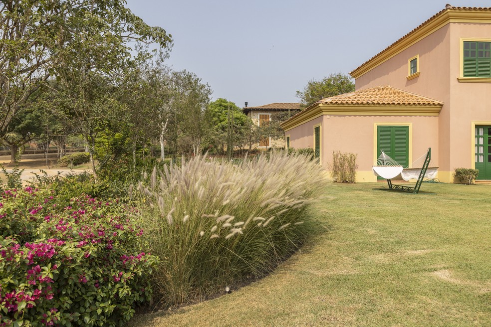 Jardim dos sonhos une espécies contemplativas e momentos de aconchego ...