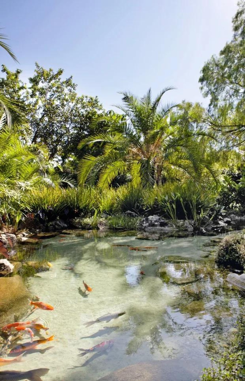 Após reforma, quintal ganha lago artificial com direito a rochas ...