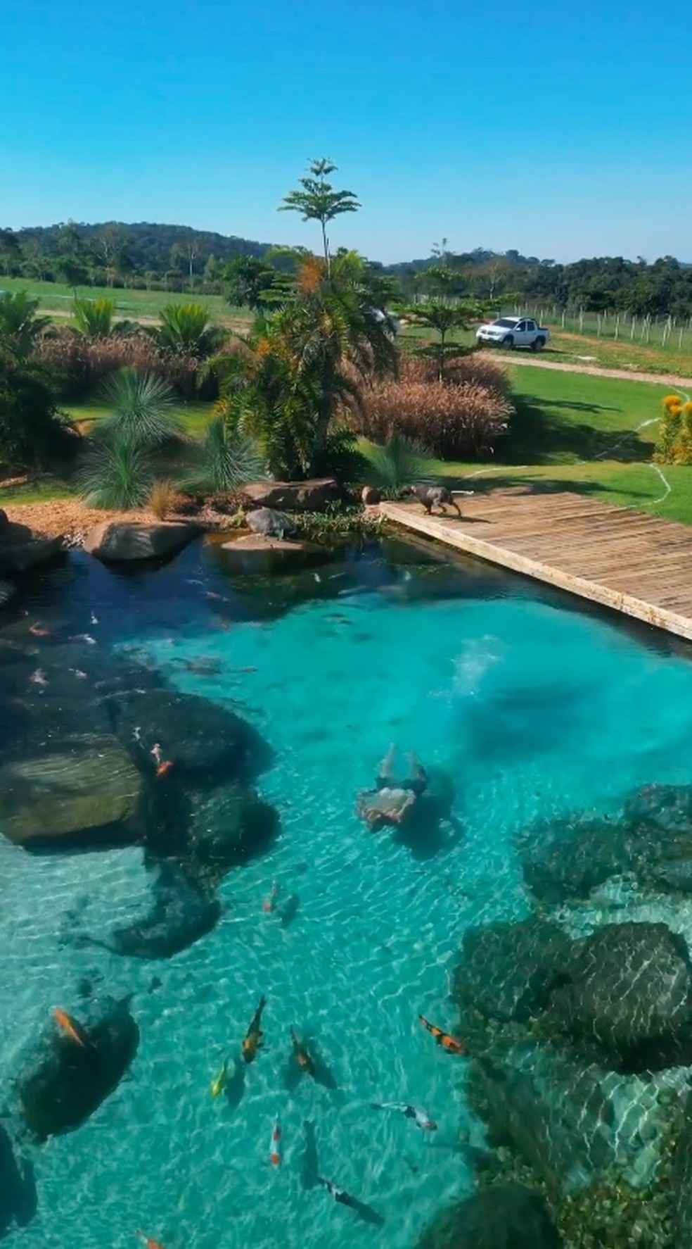 Bruno Gagliasso faz reforma no seu lago em rancho no interior do RJ e ...