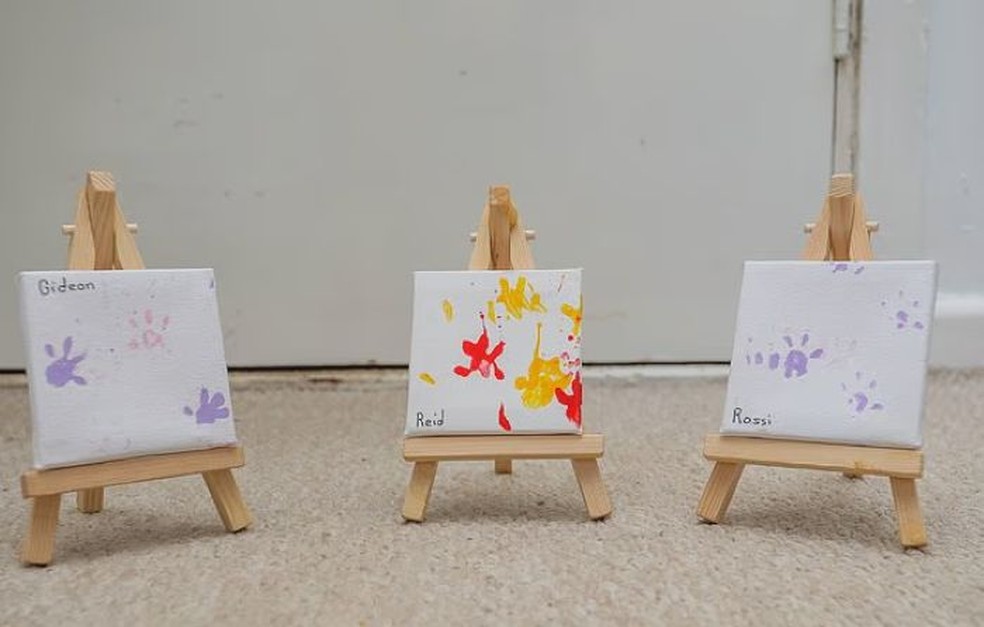 Garota de 18 anos ganha dinheiro na internet com venda de pinturas ...