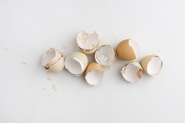 Casca de ovo no jardim: saiba se o truque funciona e para que serve