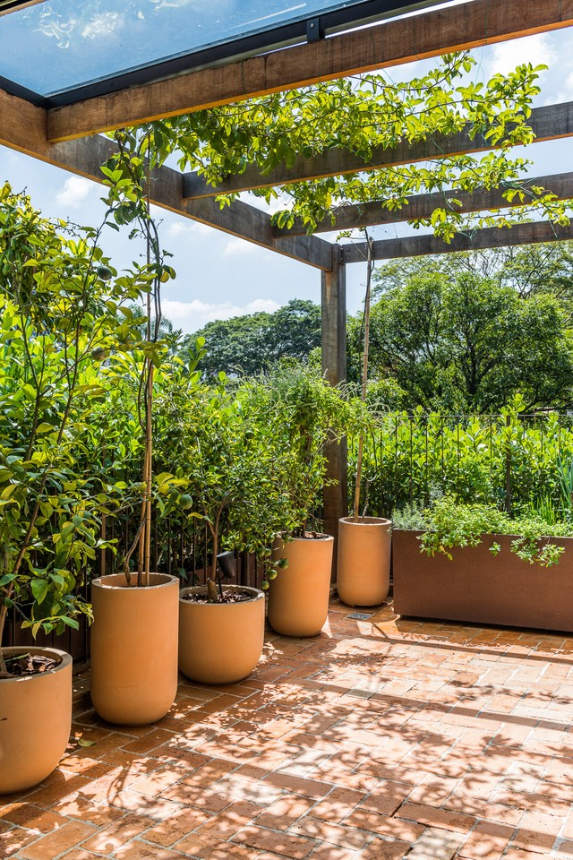 Pergolado moderno: 15 propostas criativas para usar a estrutura ...