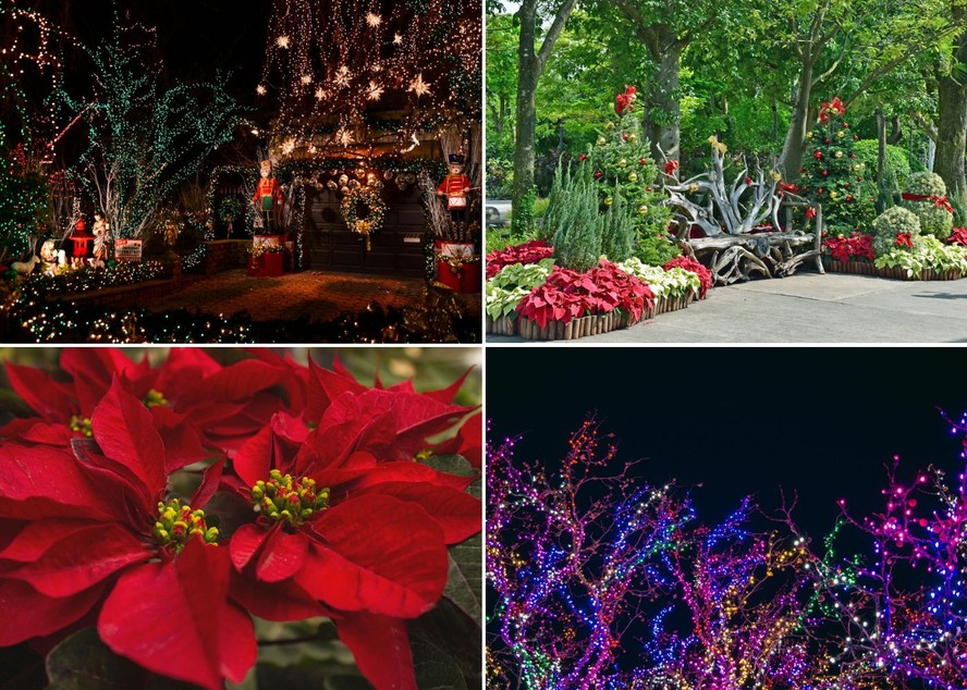 Como decorar o jardim no Natal + 12 ideias criativas para se inspirar ...