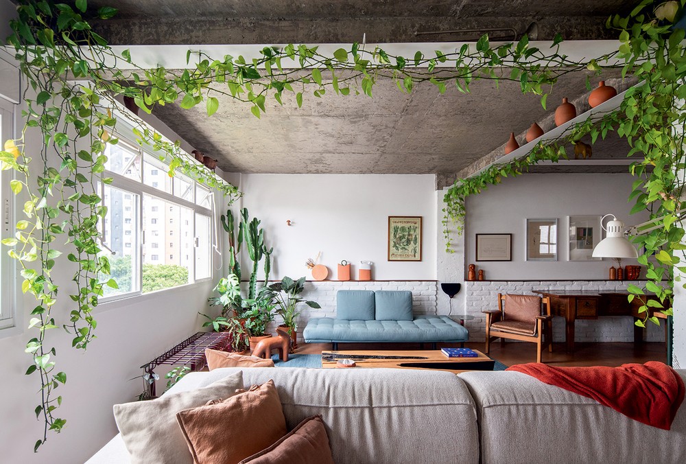 Sala com plantas naturais: como criar espaços verdes internos + 32 ideias