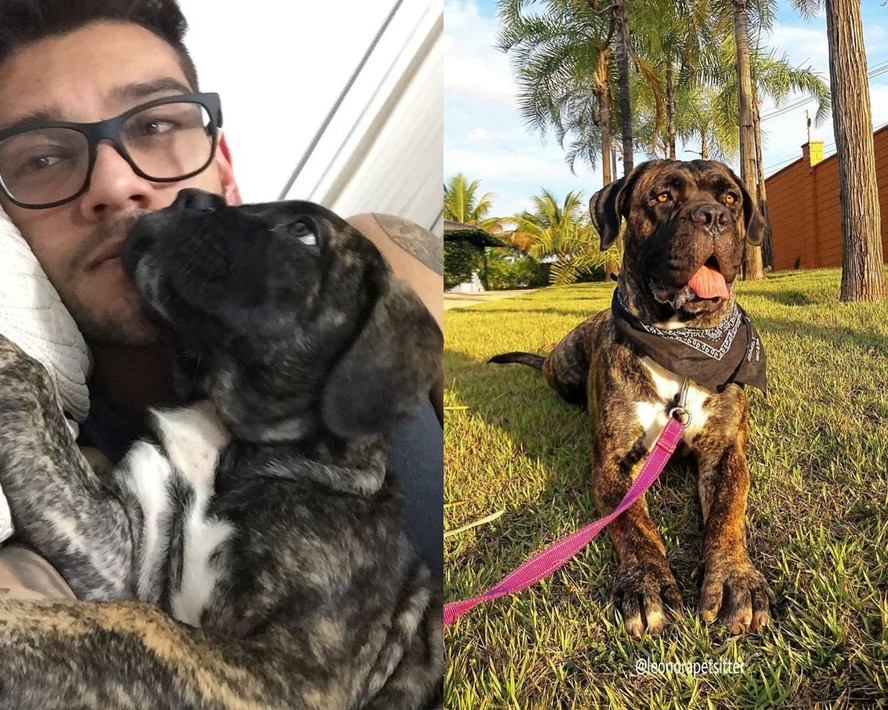 Lucas Lucco lamenta perda da sua cachorra: 'Que dia triste'