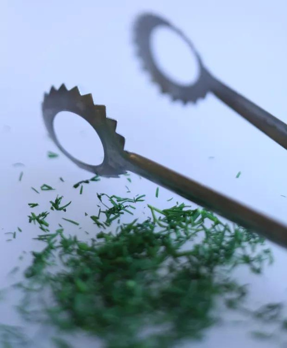 Você sabe o que é endro?