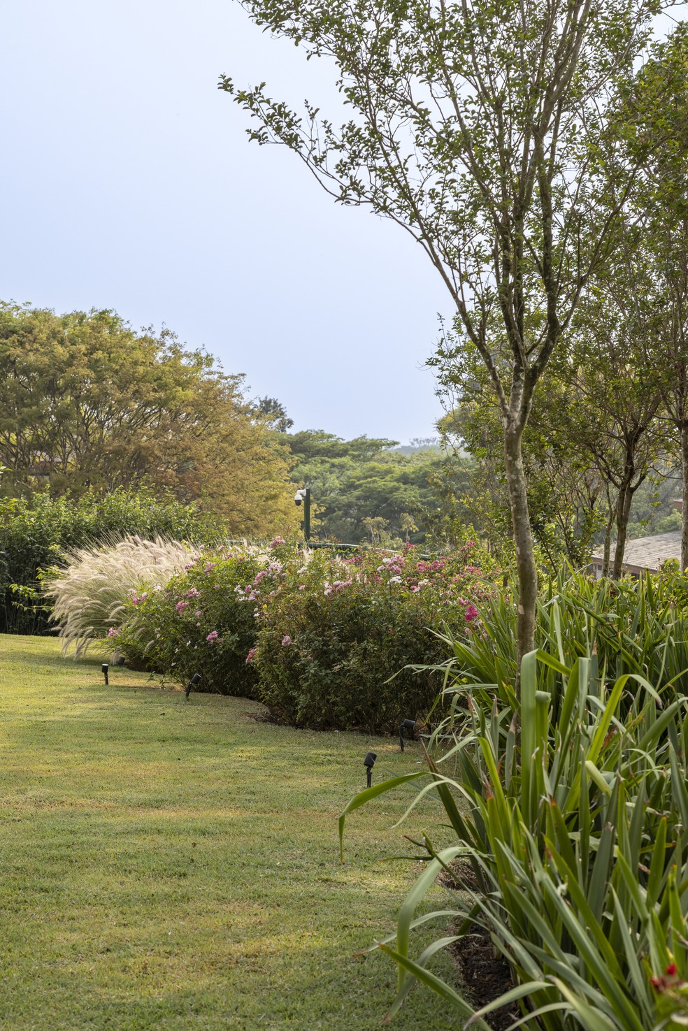 Jardim dos sonhos une espécies contemplativas e momentos de aconchego ...