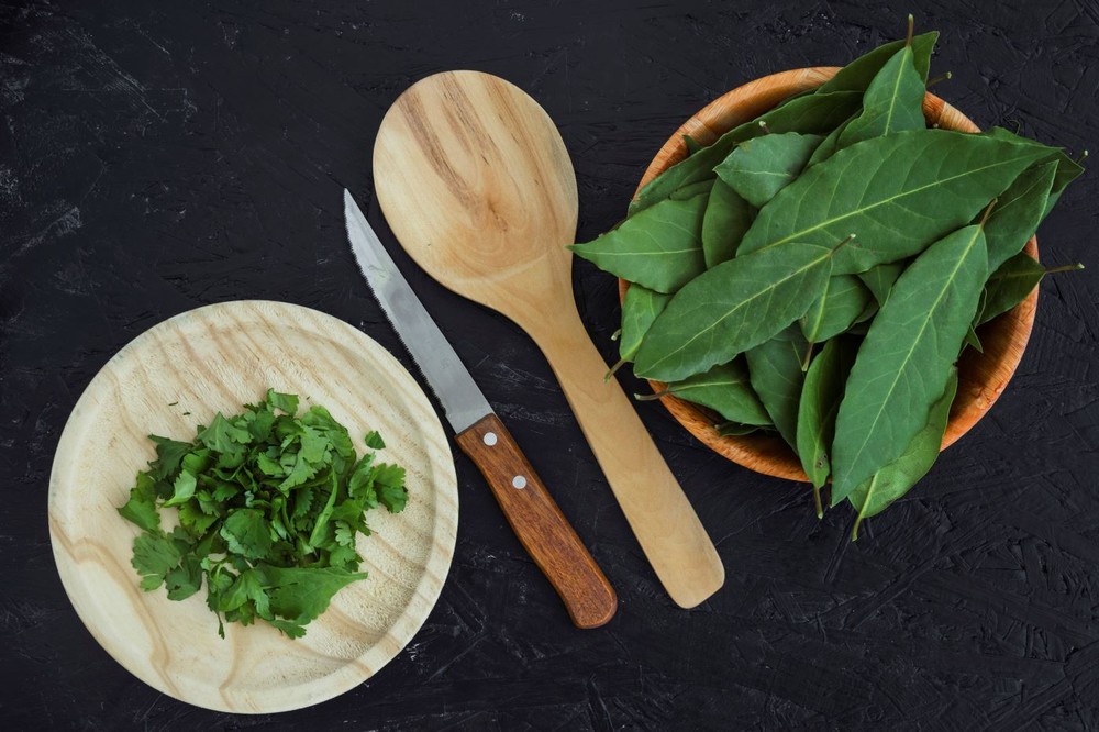 Louro: simbologia, usos culinários e dicas de cultivo!