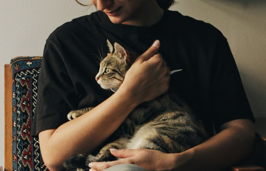 Ronronar: entenda o que é e como funciona o som característico dos gatos