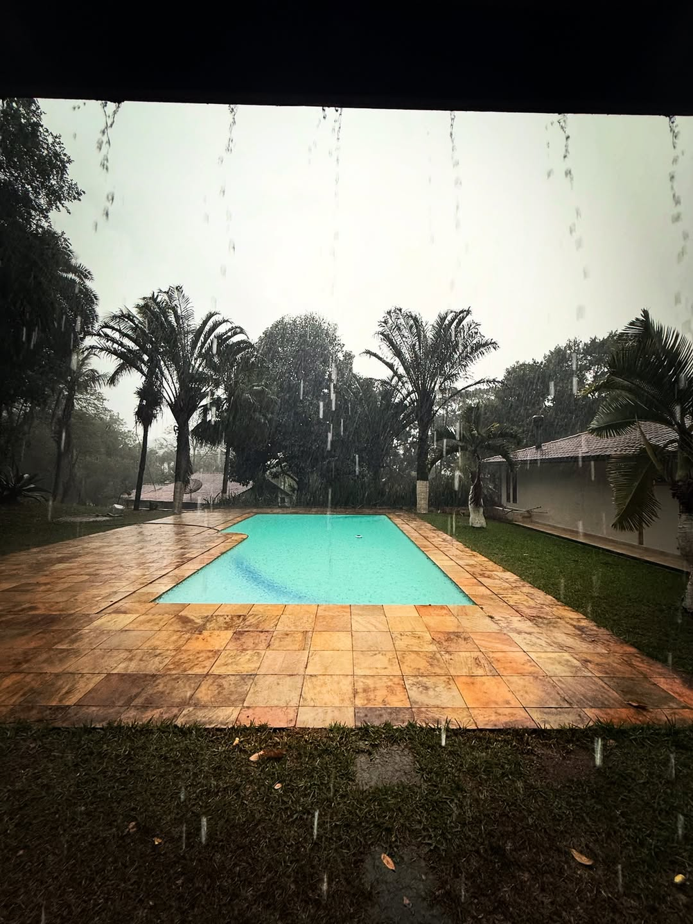 Três meses após falecimento do seu pai, André Marques decide reformar ...