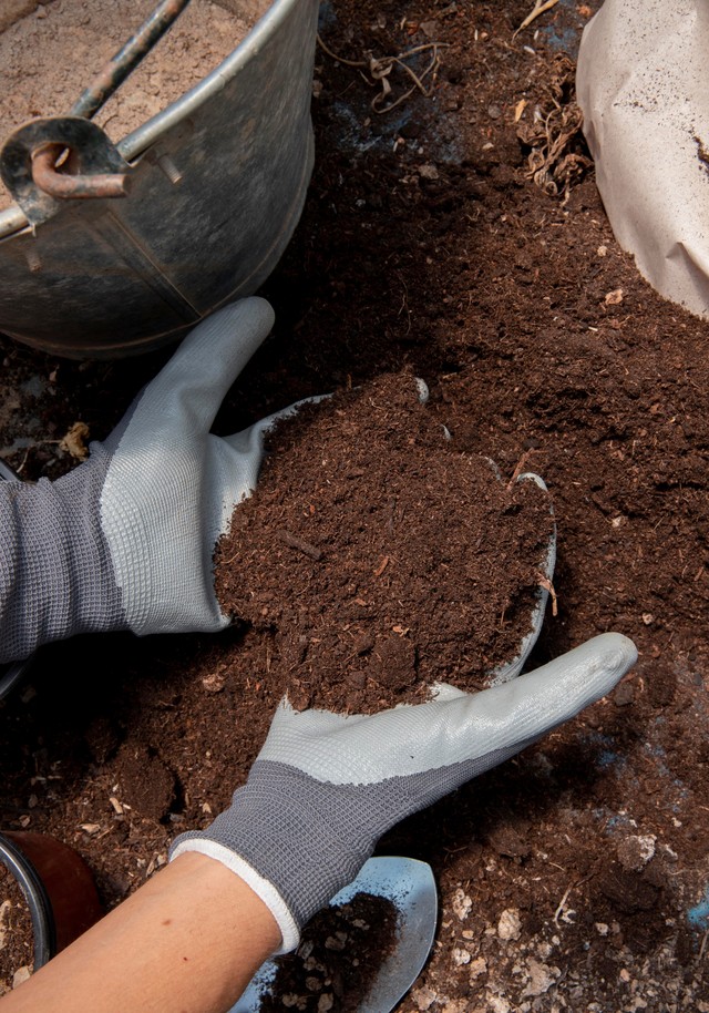 Bokashi: o que é e como usar o adubo sustentável no jardim de casa