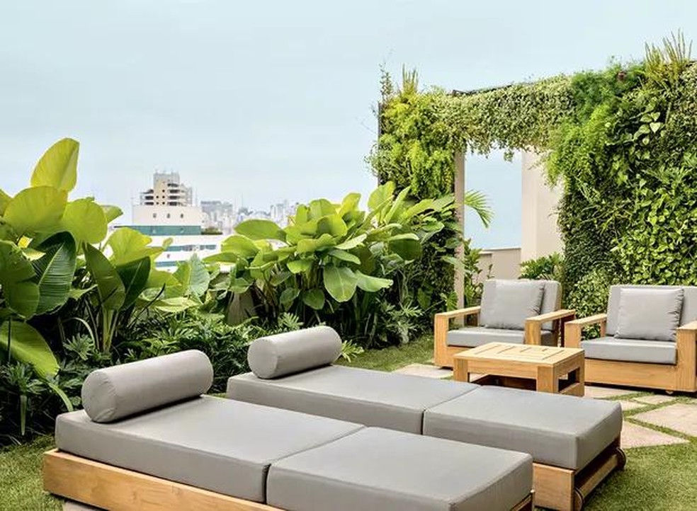 3 ideias de jardins densos e resistentes em coberturas | Paisagismo ...