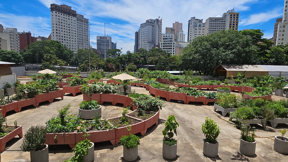 7 exemplos de hortas urbanas bem-sucedidas espalhadas pelo Brasil ...