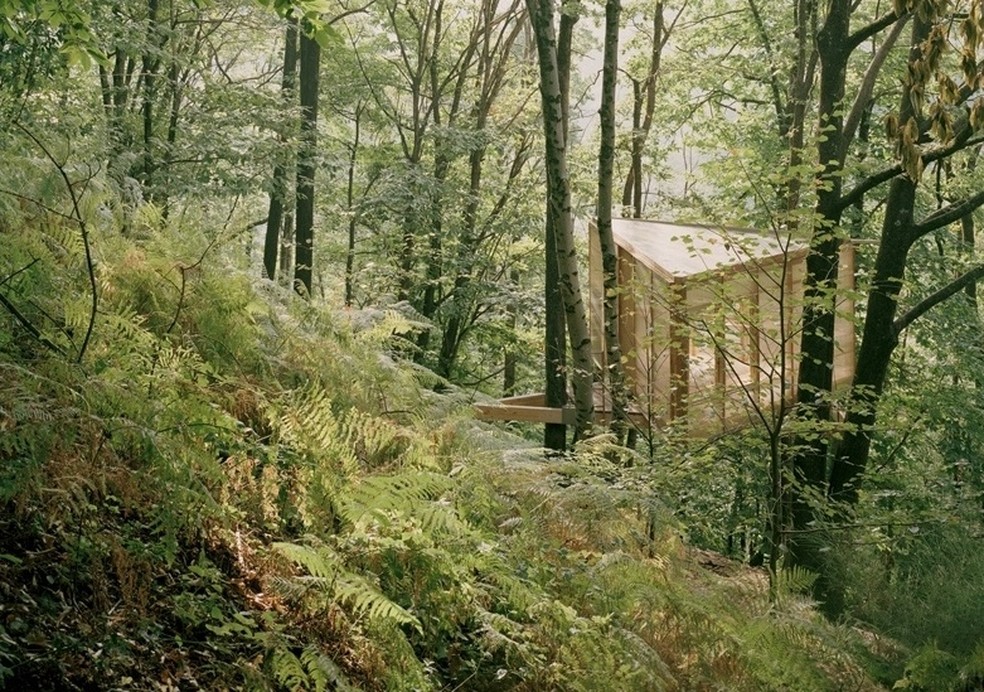 Casa na árvore minimalista desafia a gravidade ao 'flutuar' em floresta ...