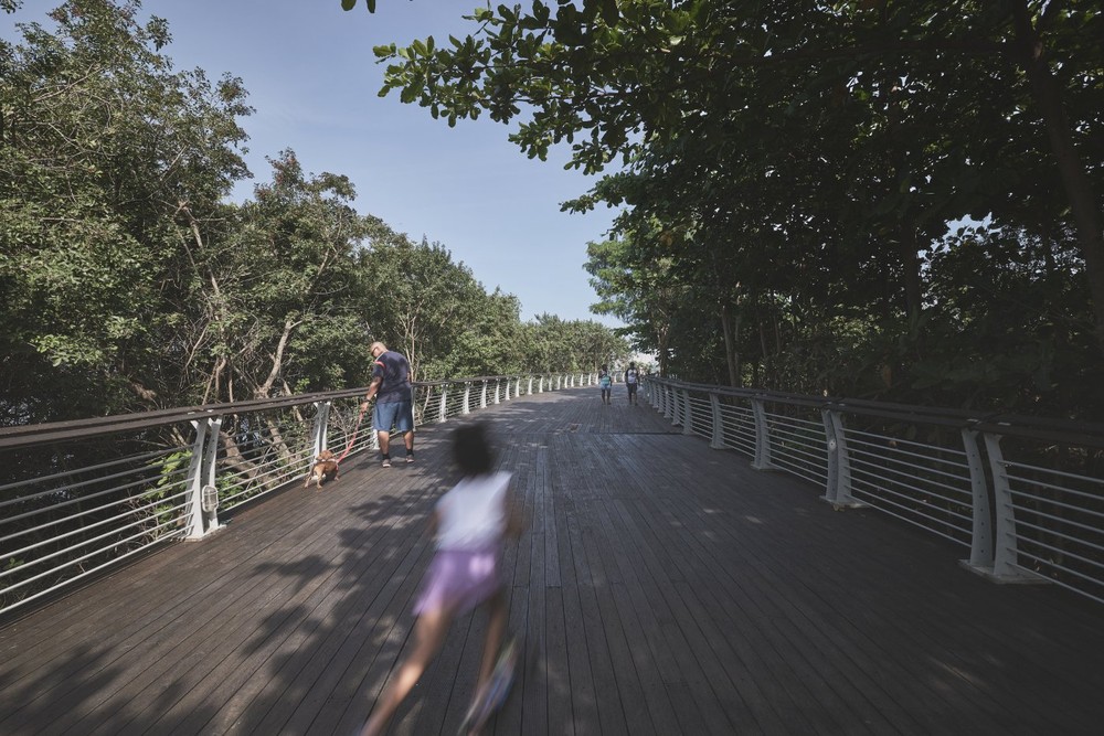 Após as Olimpíadas: Parque Rita Lee ressignifica complexo esportivo da ...