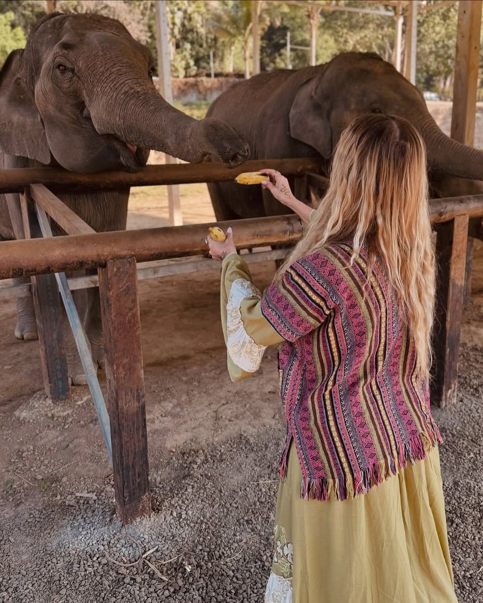 Marcela Mc Gowan visita santuário de elefantes na Tailândia: 'Vivência ...