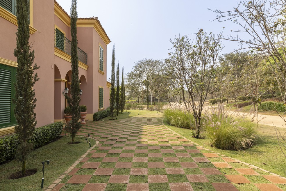 Cipreste italiano: conheça o icônico pinheiro que atinge até 30 metros ...