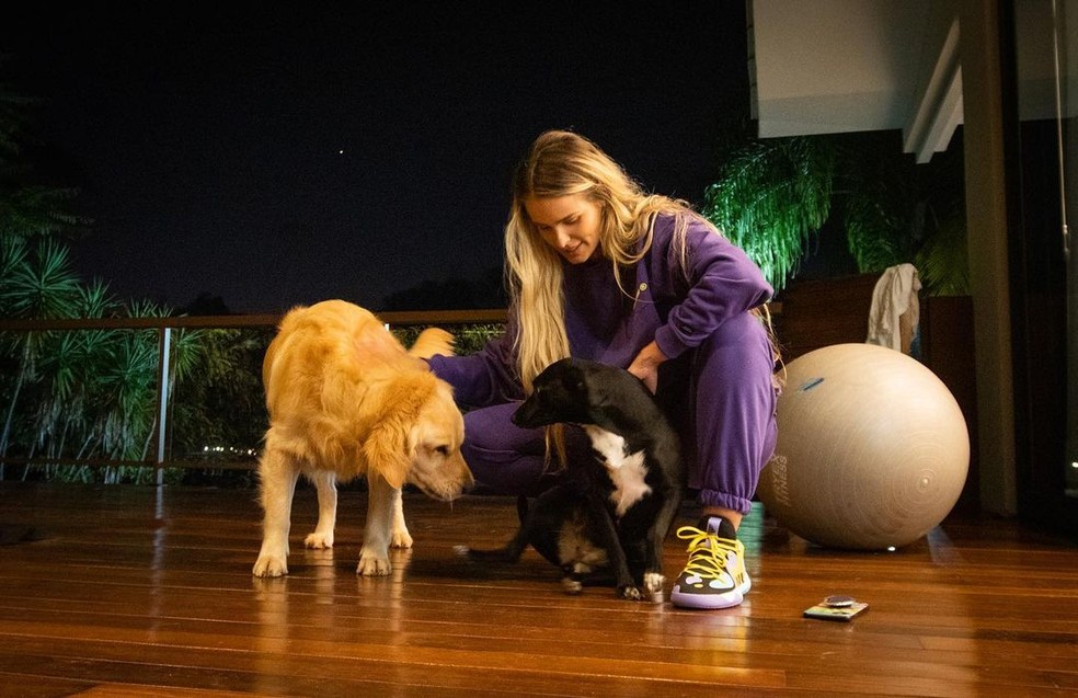 Gatos, cachorros e até cavalos: conheça os pets dos participantes do ...