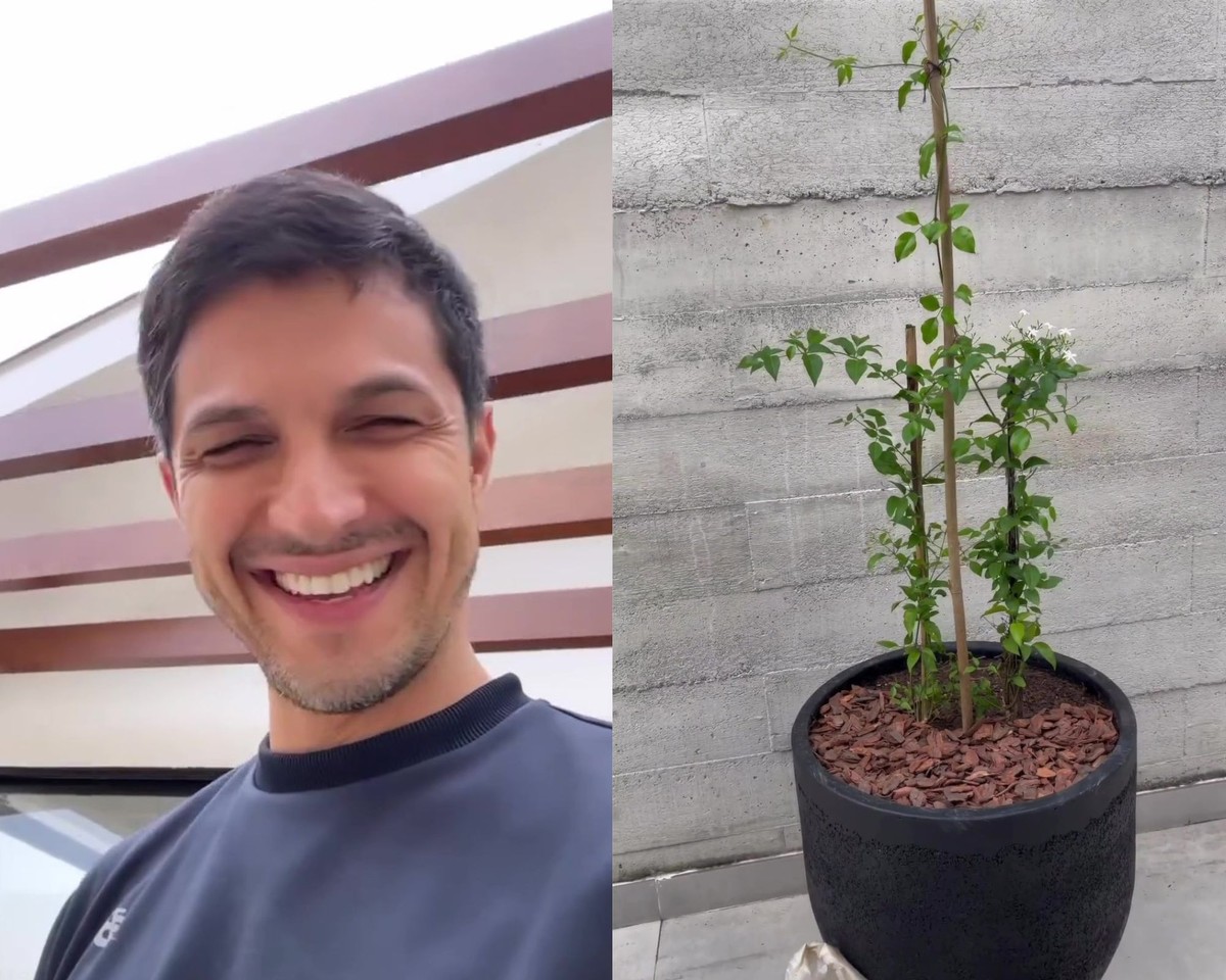 Rômulo Estrela cuida de nova planta do seu jardim e mostra resultado ...