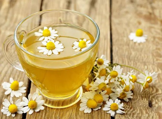 12 tipos de chás e para que servem