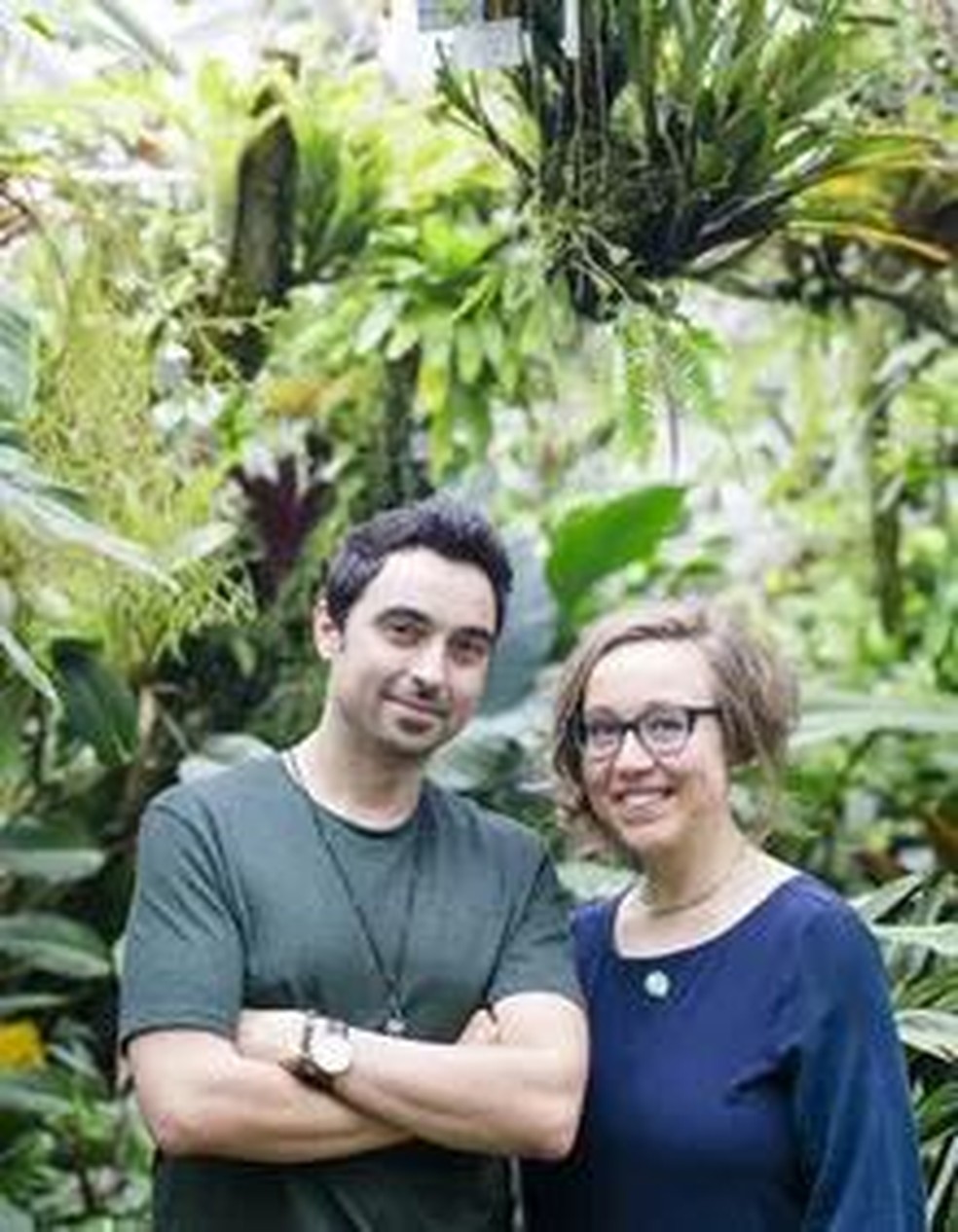 Como deixar a casa mais aconchegante com plantas | Decoração | Casa e ...