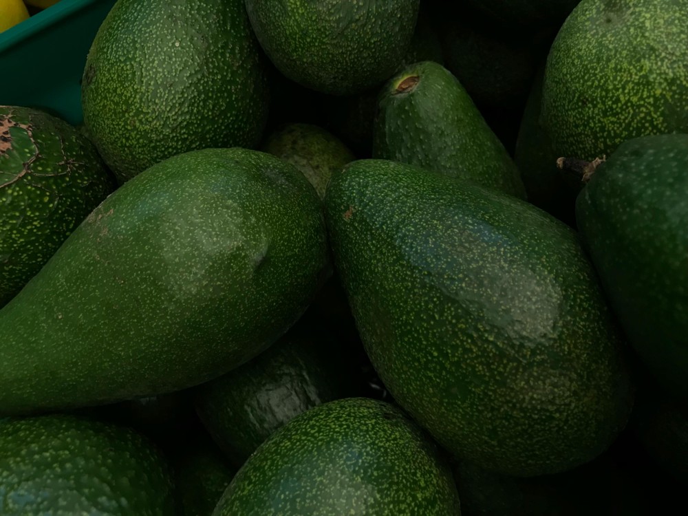 Casca de abacate: saiba reaproveitar em receitas e até como adubo orgânico