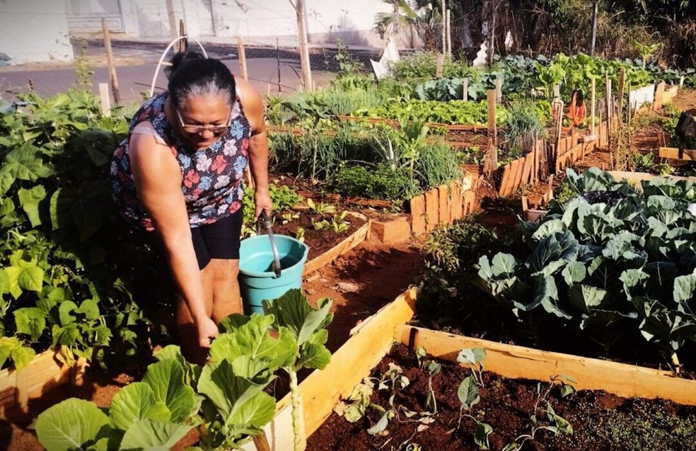 7 exemplos de hortas urbanas bem-sucedidas espalhadas pelo Brasil ...