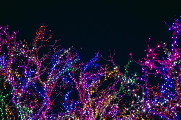 Como decorar o jardim no Natal + 12 ideias criativas para se inspirar