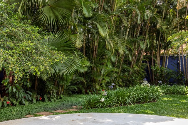 Nova vegetação e deque de madeira deixam jardim urbano mais relaxante
