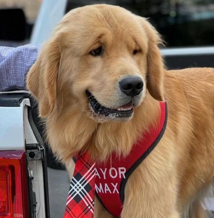 Cachorro chamado Max é prefeito de pequena cidade nos EUA