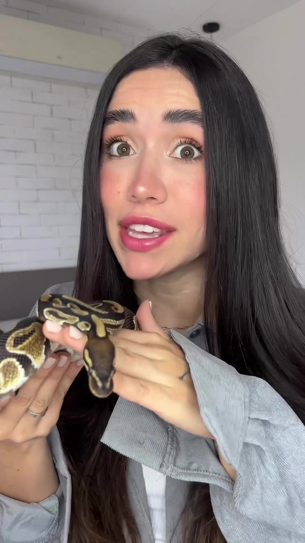 'Sinto quando quer interagir ou não': Maria Venture tem cobra de ...