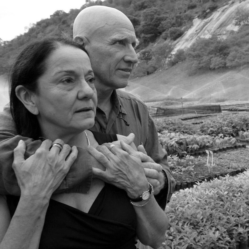 Sebastião Salgado e a esposa plantaram mais de 2,5 milhões de árvores ...