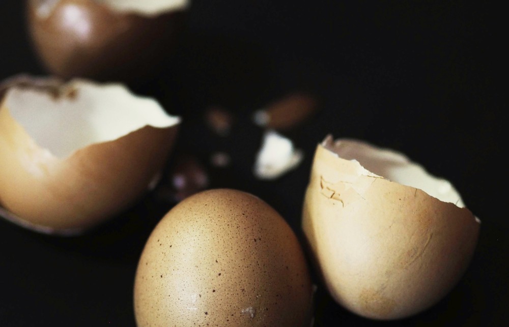 Casca de ovo no jardim: saiba se o truque funciona e para que serve