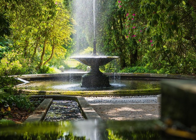 Chafariz para jardim: conheça os tipos e saiba como usá-los no paisagismo
