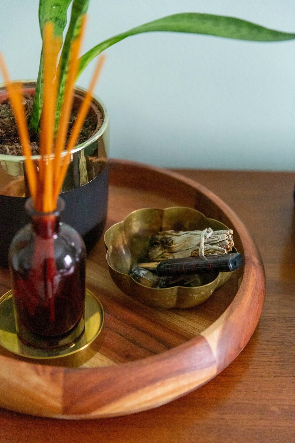 Palo santo: descubra as propriedades, os benefícios e como usá-lo