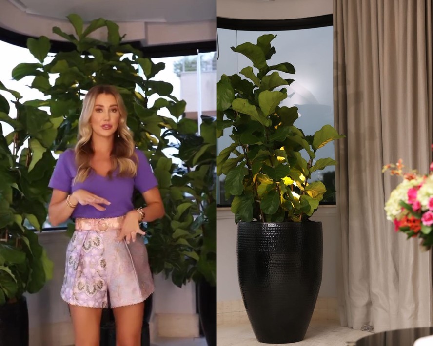 Ana Paula Siebert decora sua casa com novas plantas e deixa o ambiente mais verde | Celebridades ...