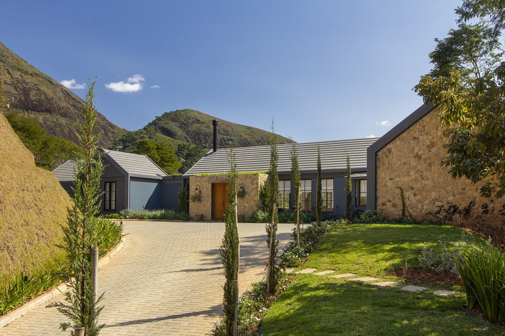 Cipreste italiano: conheça o icônico pinheiro que atinge até 30 metros ...